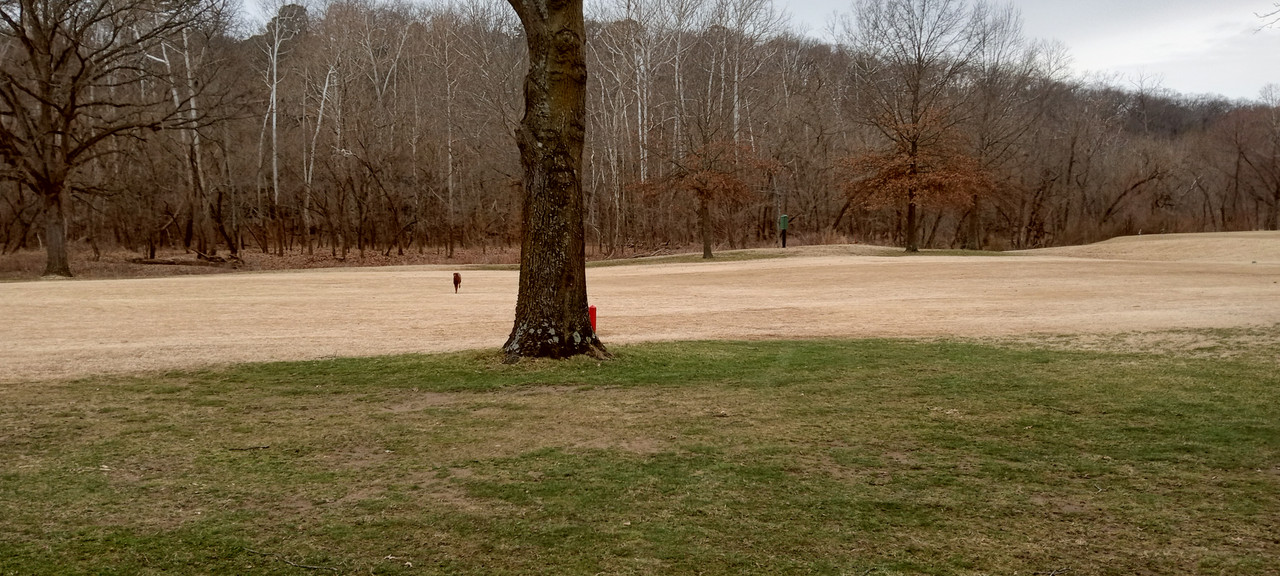 Who else took their buddy on a nice long walk this morning? > General ...