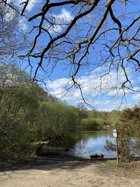 Album — Postimages