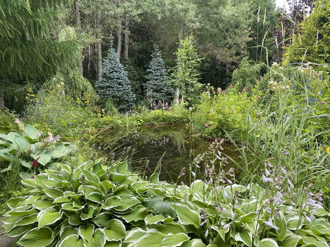 B879 F210 470 D 442 A AFBC 7636306 A94 A0 — Postimages