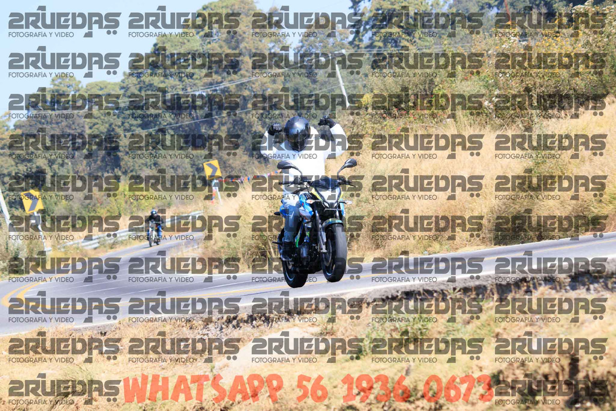 MG 8447 — Postimages