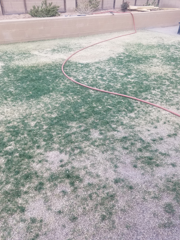 PRG fail | Lawn Care Forum