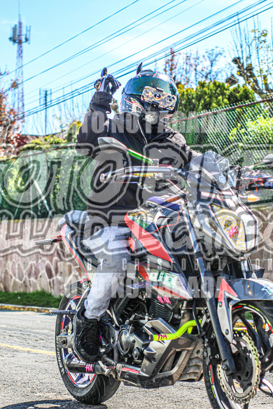 CCH 137 — Postimages