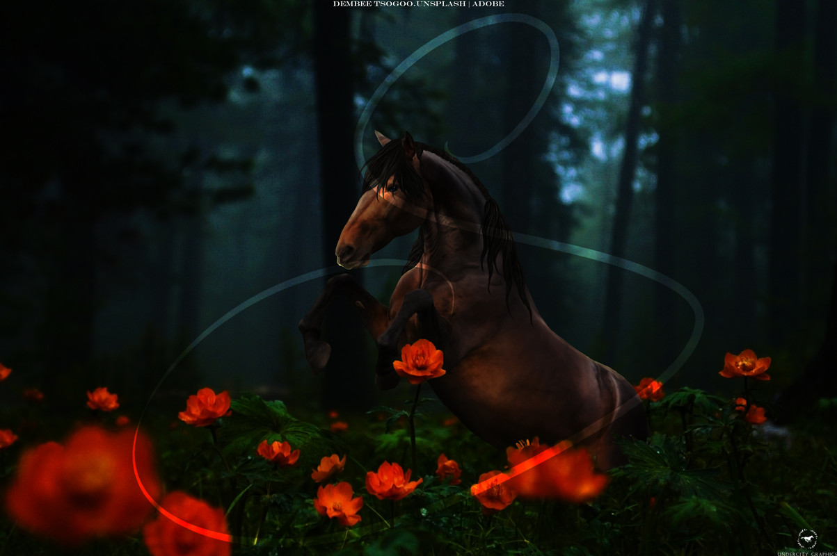 dembee tsogoo fn1 L9 Lup Ap I unsplash copy — Postimages