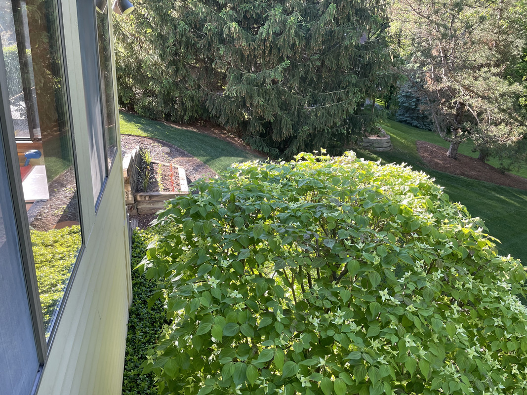 IMG 0834 — Postimages