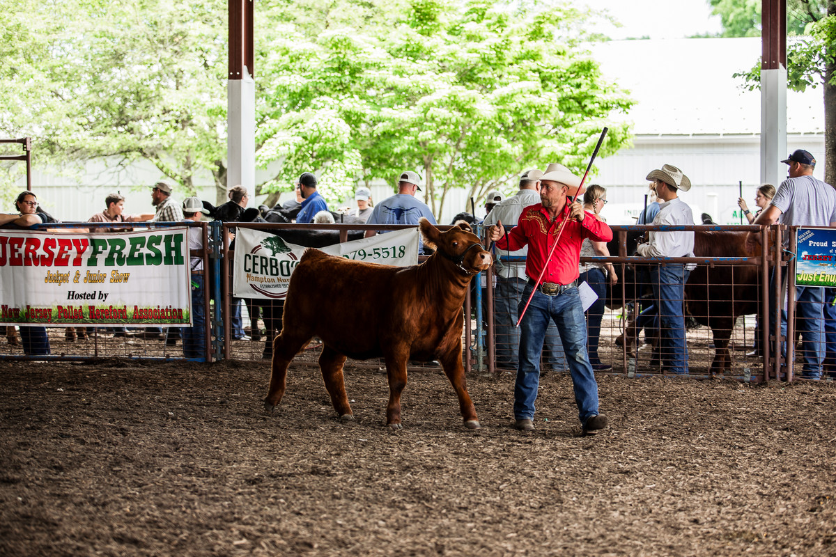 Jersey Fresh 2024 Sexy Lady walking — Postimages