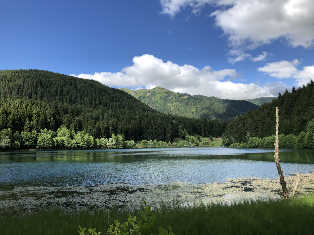 IMG 5262 — Postimages