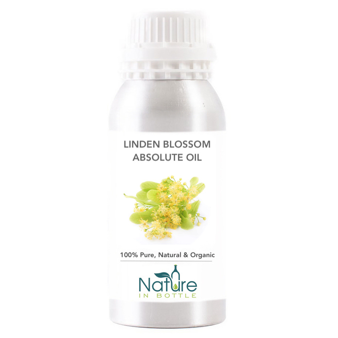 Linden Blossom Absolute - Tilia cordata Essential Oil