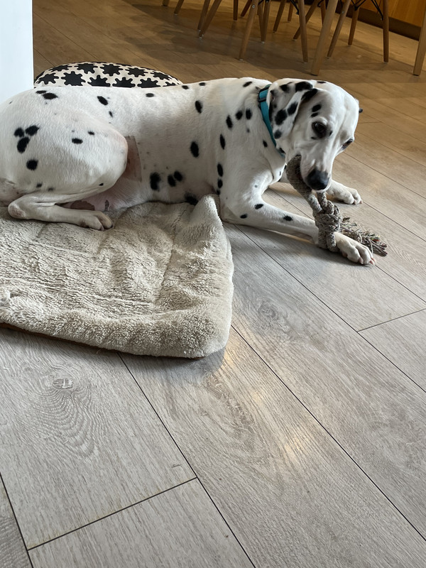 E7031015 1112 4478 A549 3 D7276 E3 F5 CC — Postimages