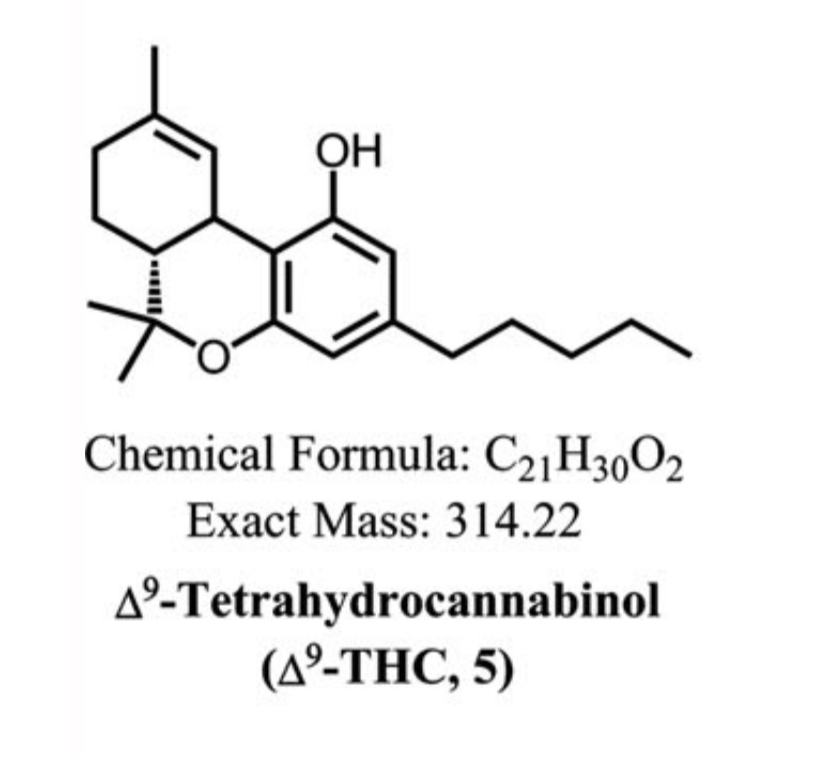 Ein paar Fragen zu HHC : r/germantrees