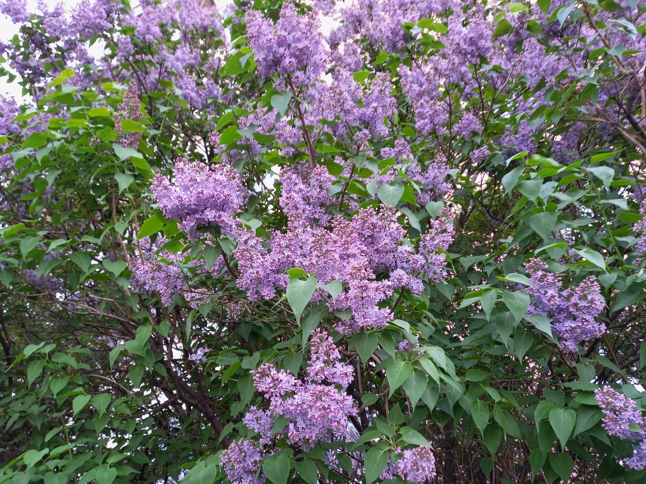 p FBQO7eqc AY — Postimages