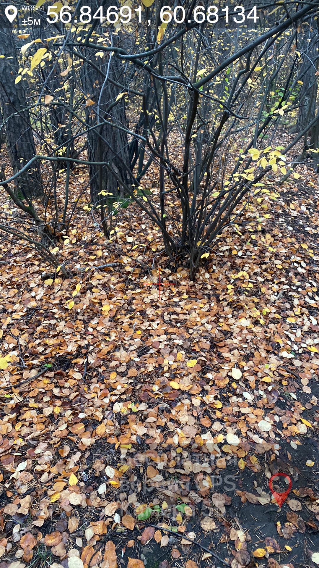 21окт 23 16 26 s — Postimages