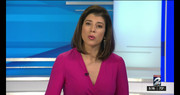 LISA HERNANDEZ KPRC MORNINGS - TvNewsCaps