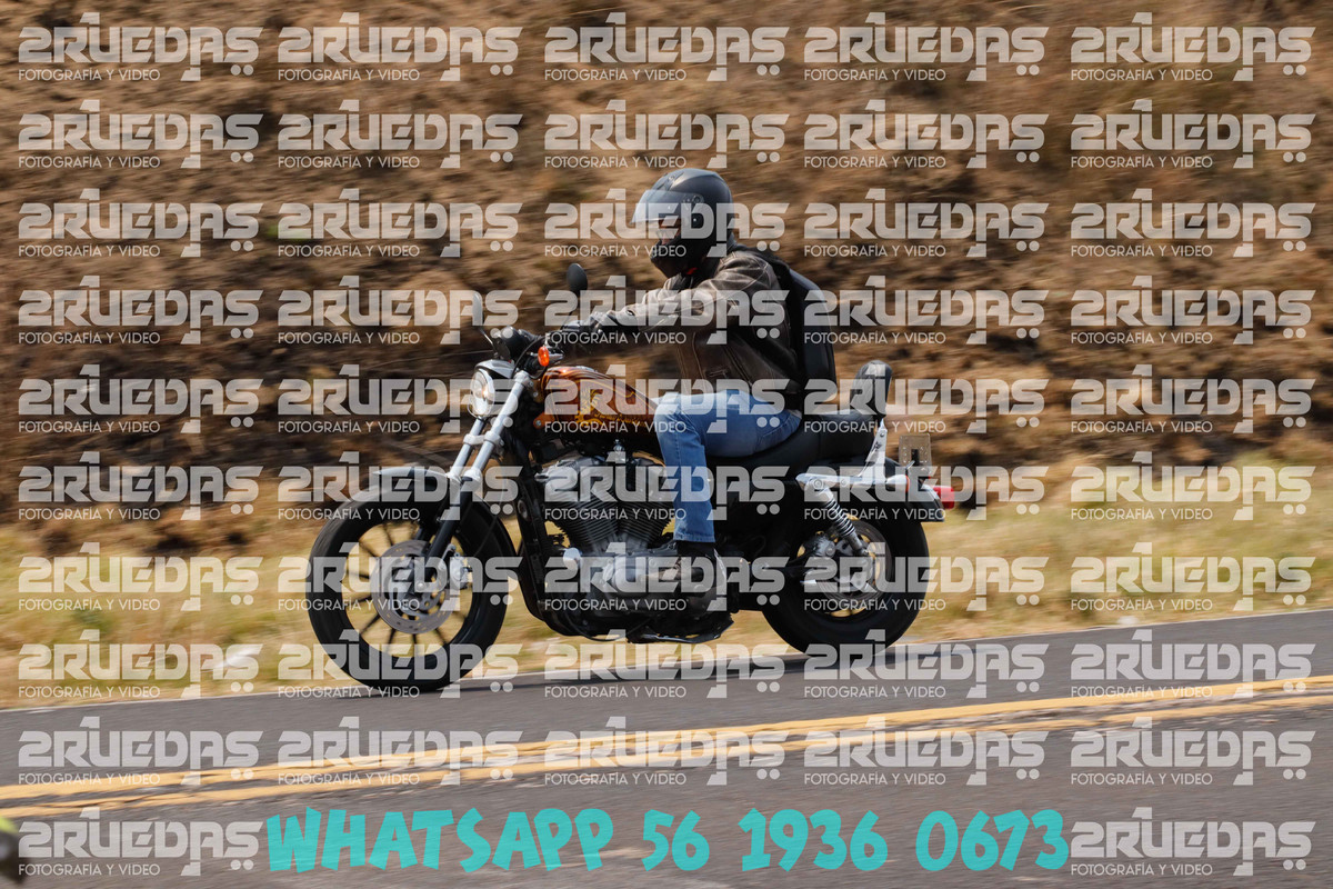 MG 1404 — Postimages