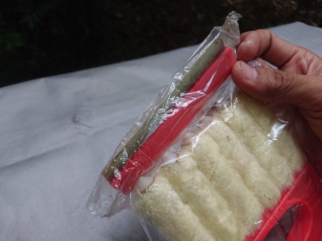 DSC 3119 — Postimages