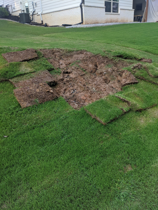 Dirt washed away on new Bermuda sod | Lawn Care Forum