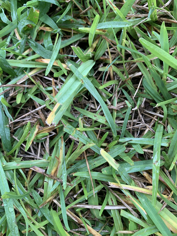 IMG 1122 — Postimages