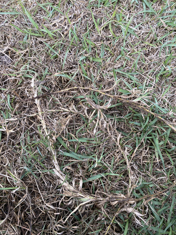 IMG 1013 — Postimages