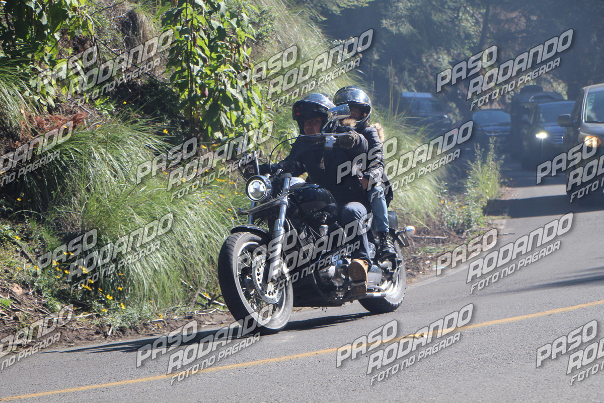 IMG 3432 wm 55103 30000000005 watermarked — Postimages