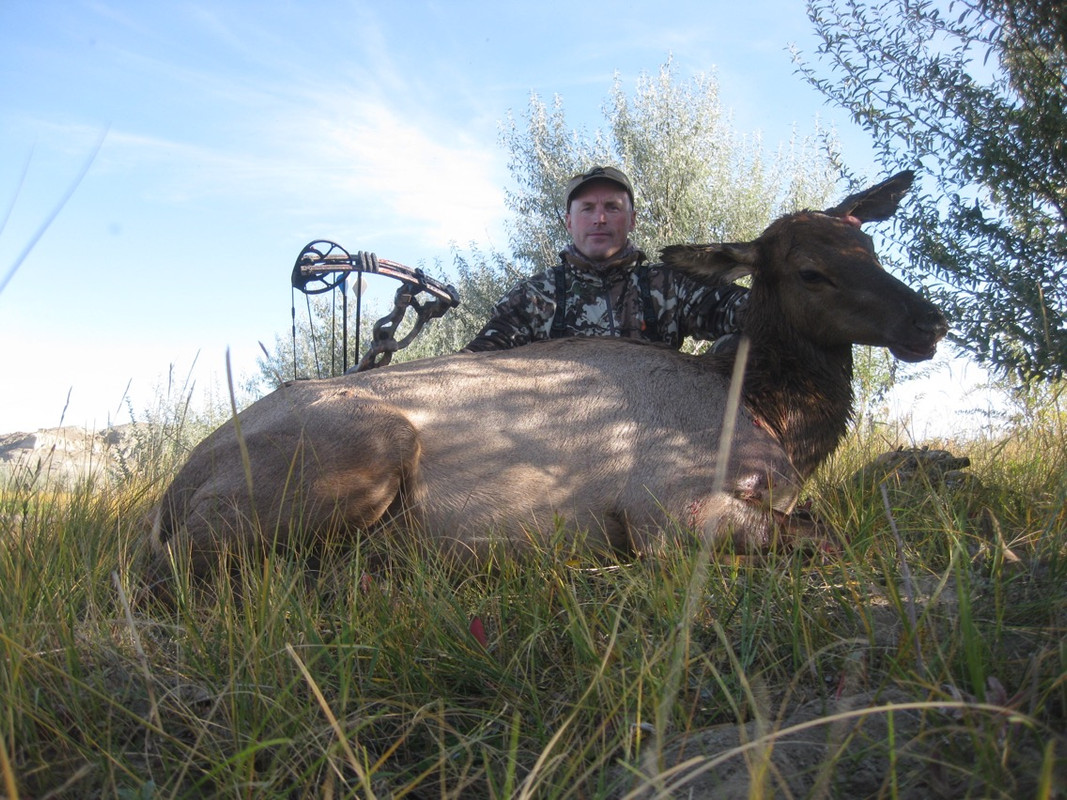 6243 CE05 F903 44 D7 A715 46 F5318 F7 B51 — Postimages