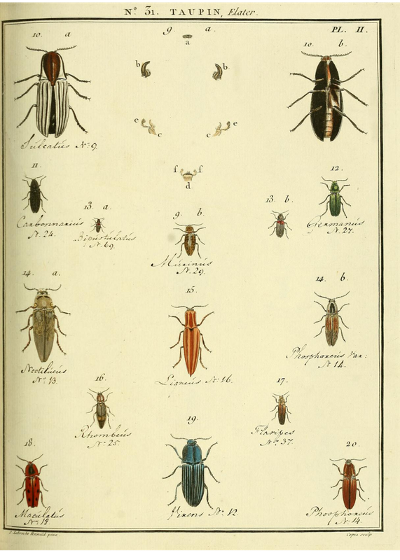 Edward Teach Discovers the Wonderful World of Pretty Sick (in a good ...