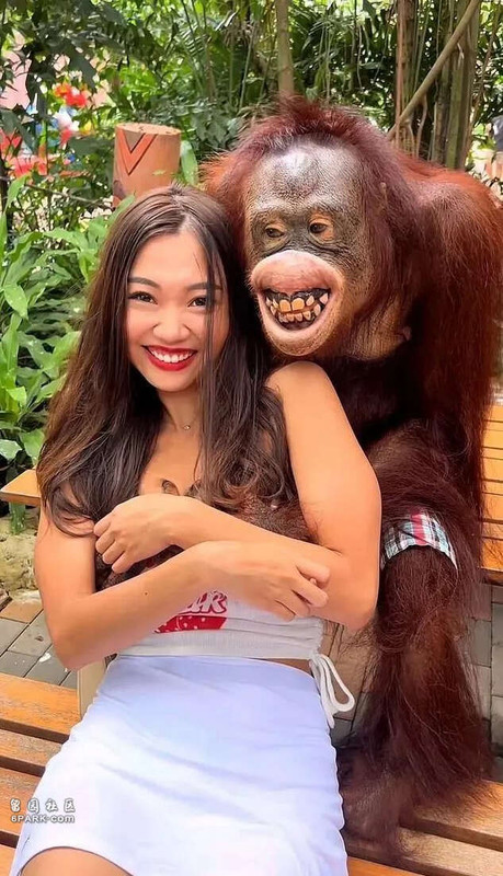 0f2b1c9a9dtype jpeg size 634 56 end — Postimages