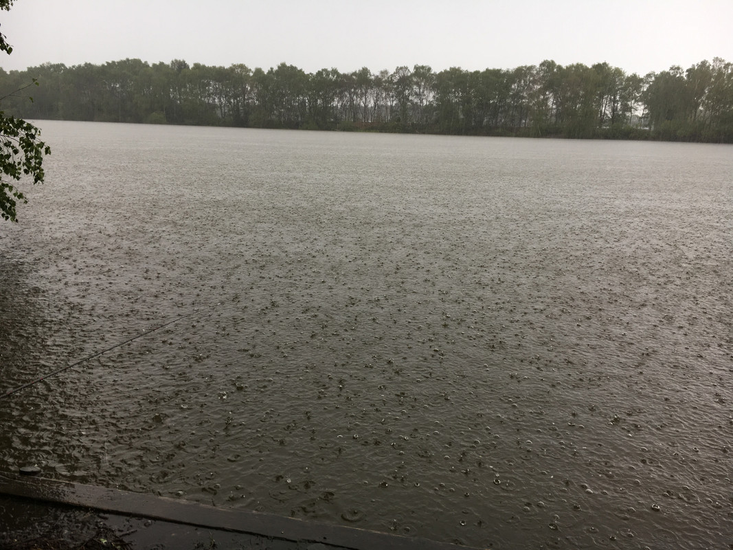 IMG 3358 — Postimages