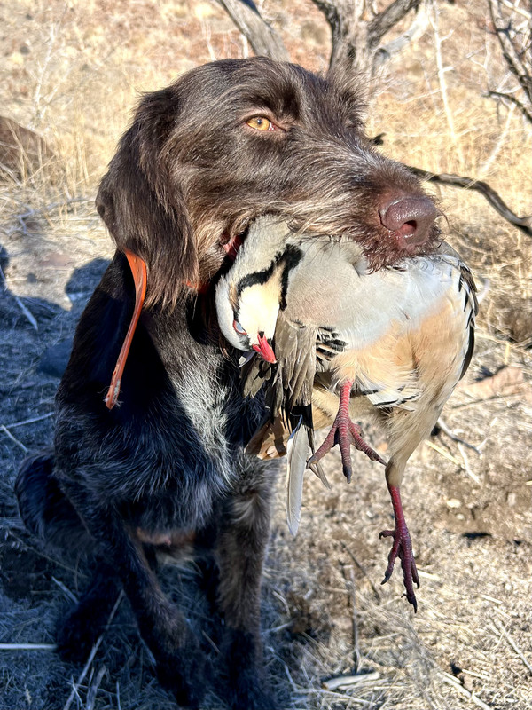 IMG 2577 — Postimages