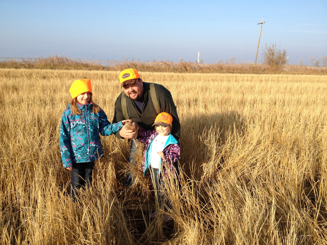 IMG 0716 — Postimages