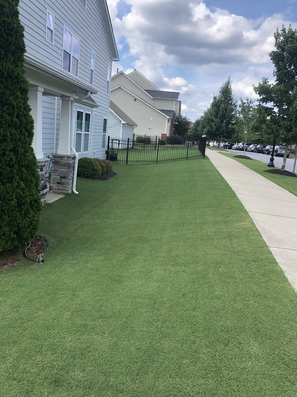 94 FFA1 B3 800 C 42 E2 9 D52 1 FB9 E2873065 — Postimages