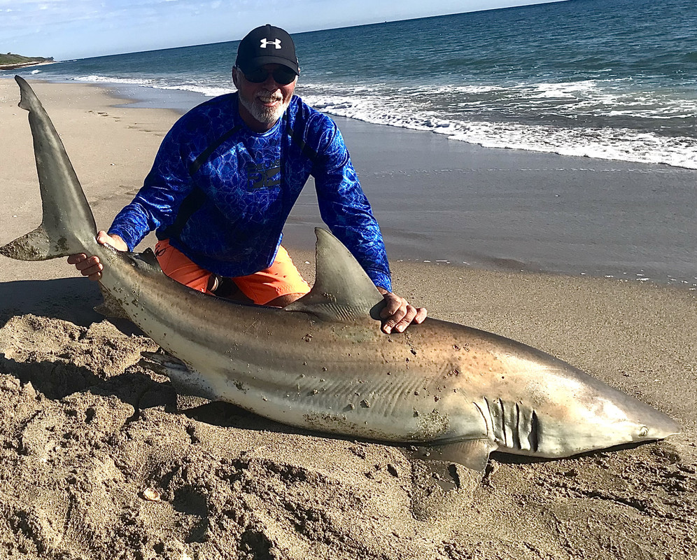 Guilty Pleasure Species? - Page 2 - Other Fish Species - Bass Fishing ...