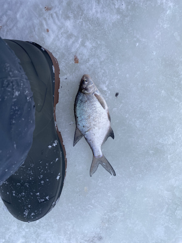 IMG 1029 — Postimages