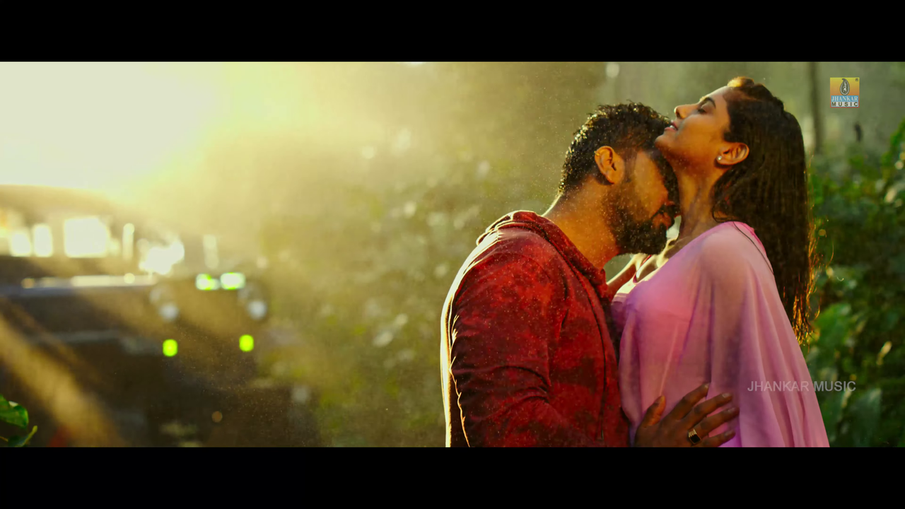 vlcsnap 2025 01 28 23h00m03s709 — Postimages