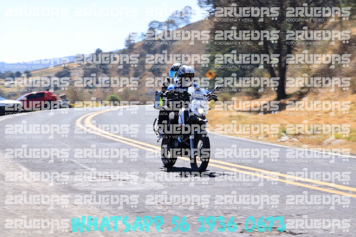 MG 1224 — Postimages