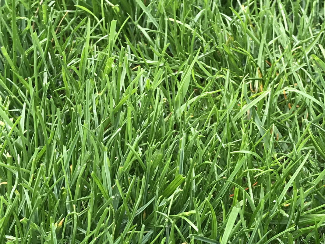 FA2292 C4 11 CA 4 AEE A4 C3 23 BD39 AFECE9 — Postimages