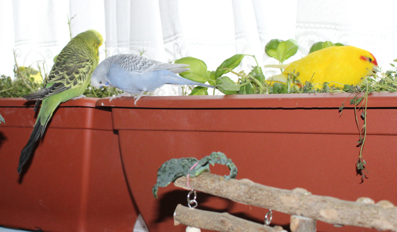 20231126142318 IMG 2003 — Postimages