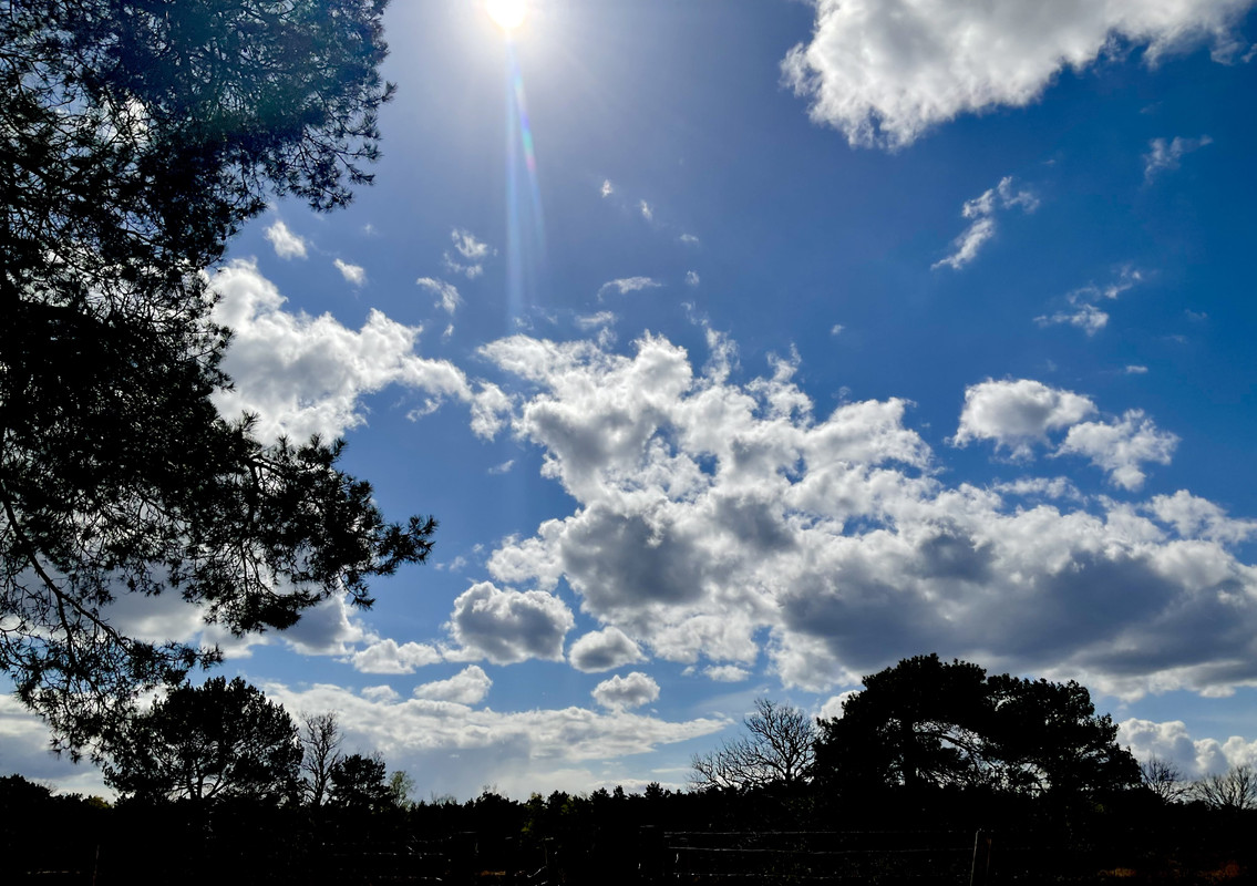 199 CDA2 F 9 C7 D 4 A61 8 E92 A9 BF54747839 — Postimages