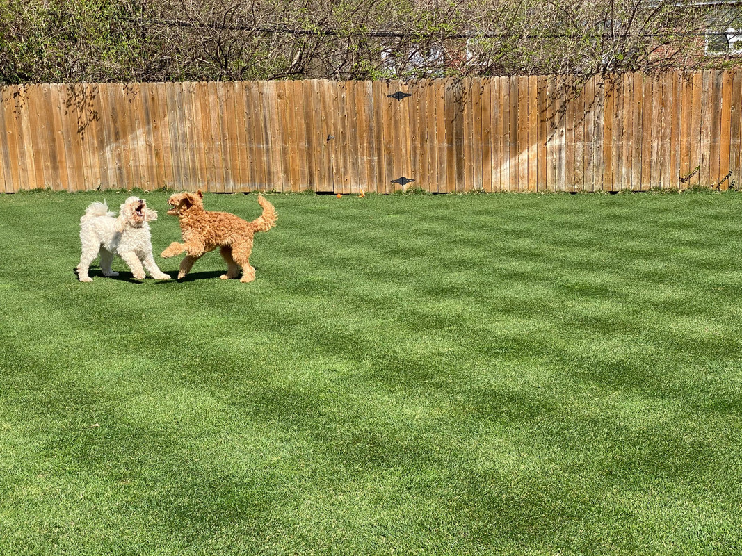 IMG 2011 — Postimages