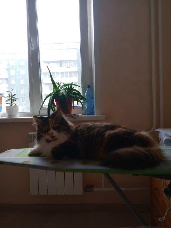 IMG 20240331 114426 — Postimages