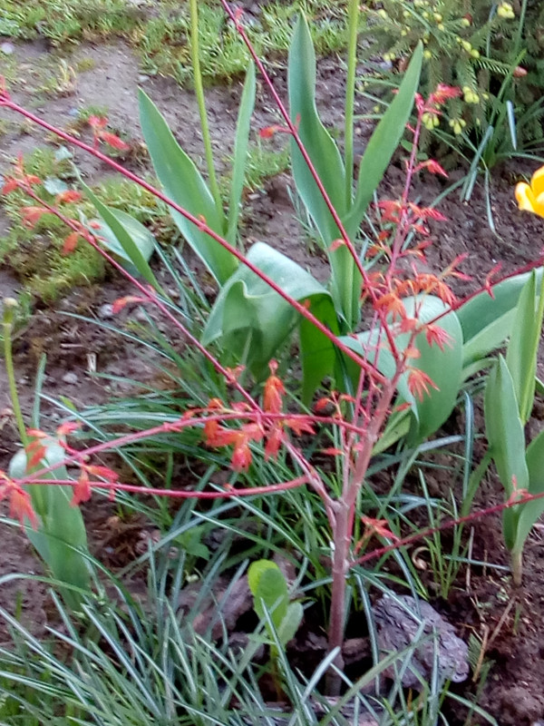 IMG 20190509 084213 — Postimages