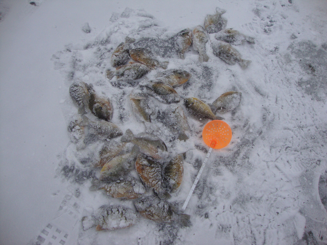 FISHING 25 002 — Postimages