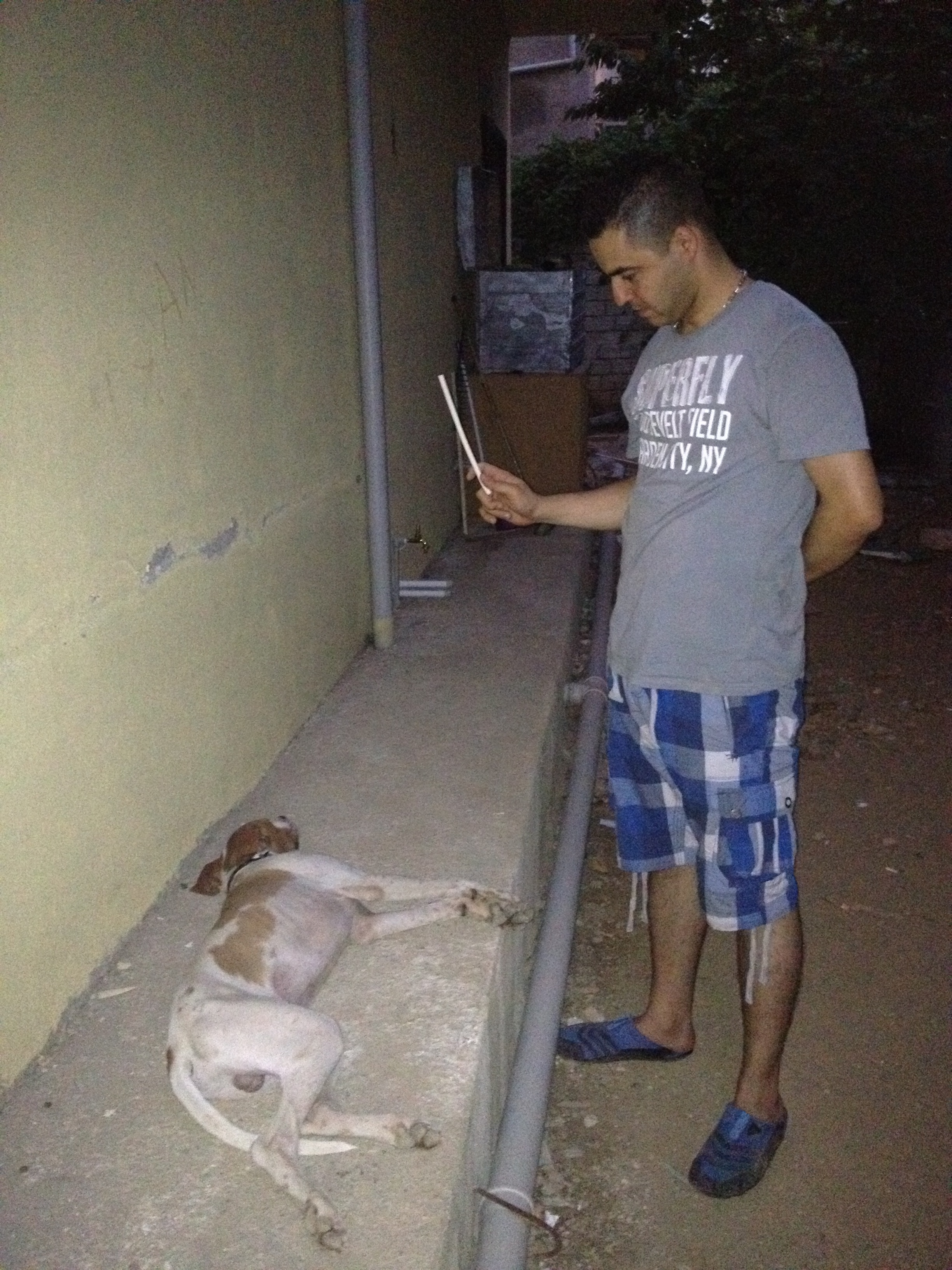 Resim 0951 — Postimages