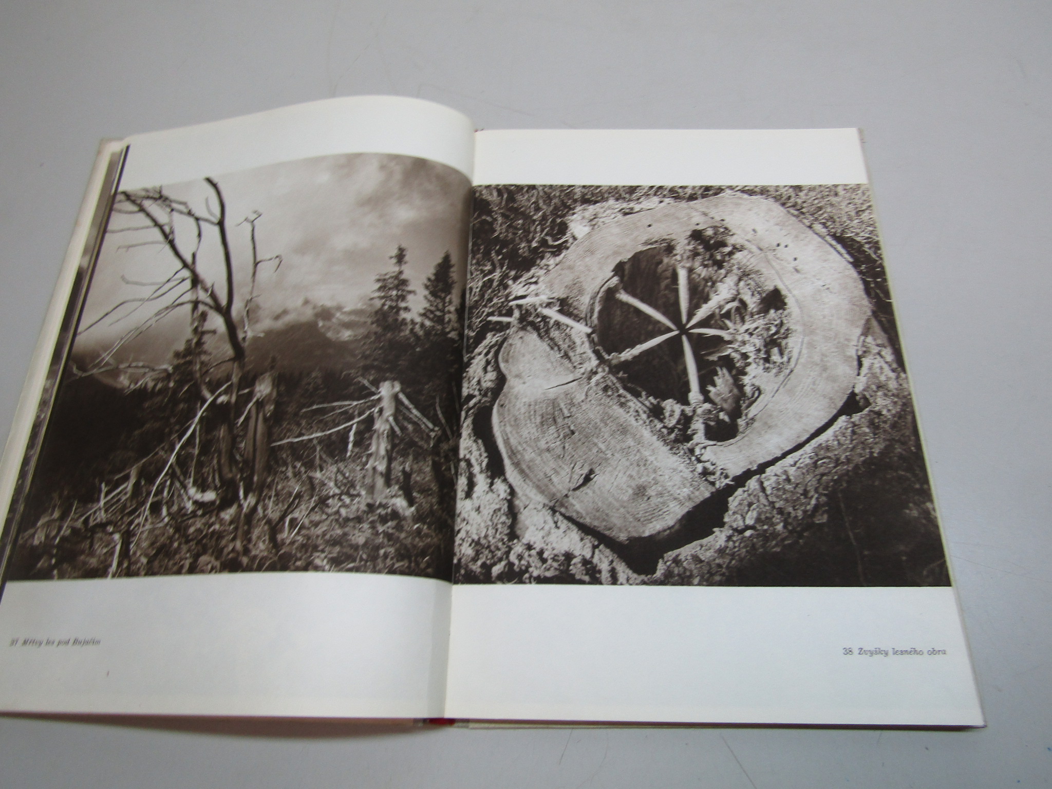 IMG 6310 — Postimages