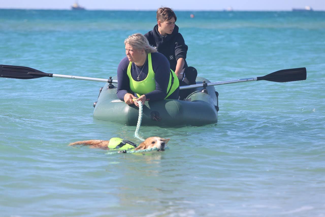 5217527873659857647 121 — Postimages