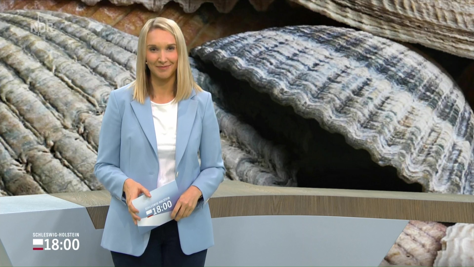 Alexandra Bauer Doreen Pelz NDR Schleswig Holstein18 Uhr 16122024 00143 — Postimages