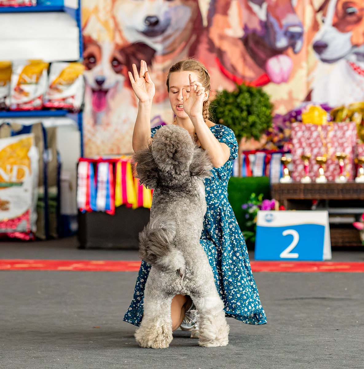 1918 CR2 — Postimages