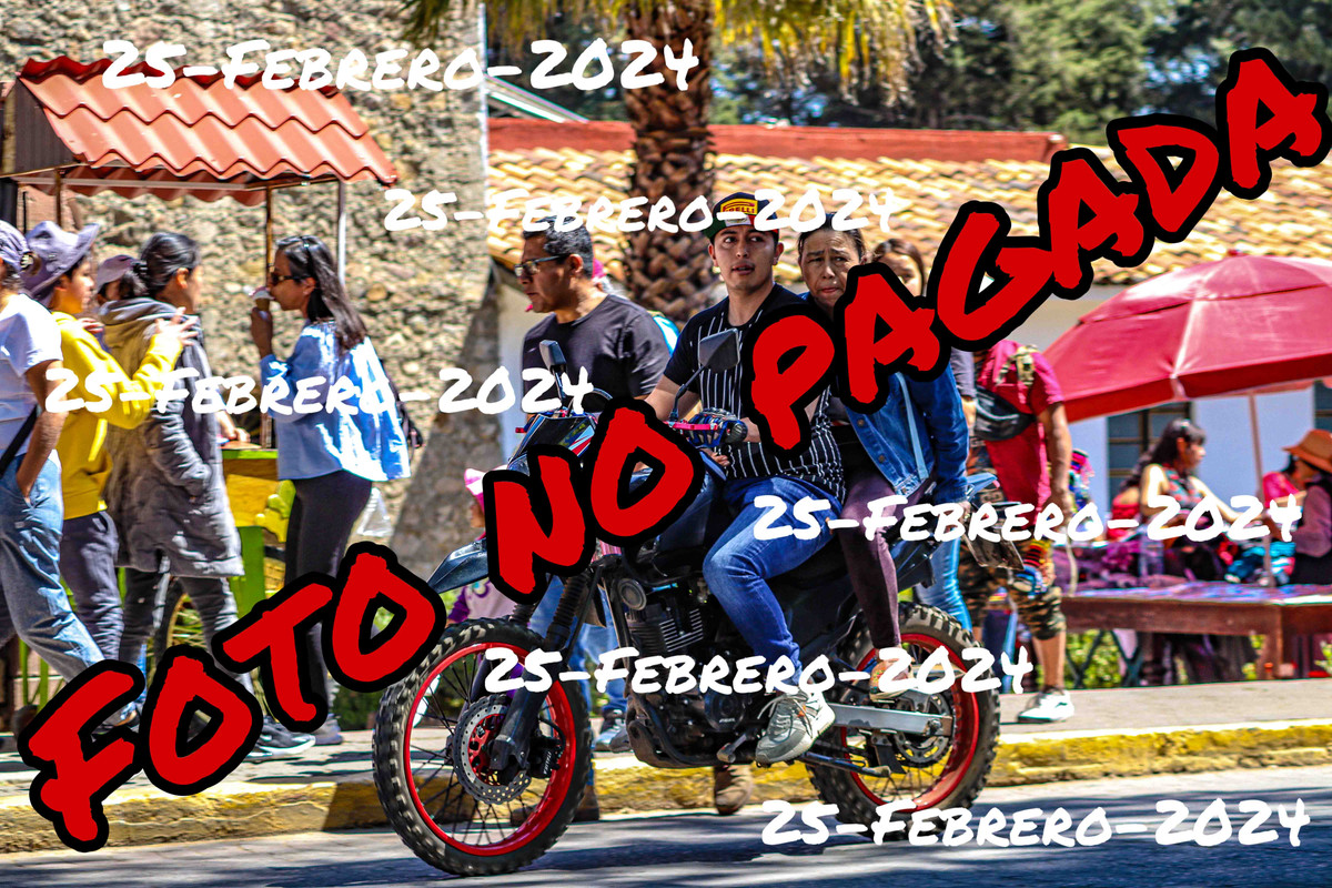 CV 1282 — Postimages