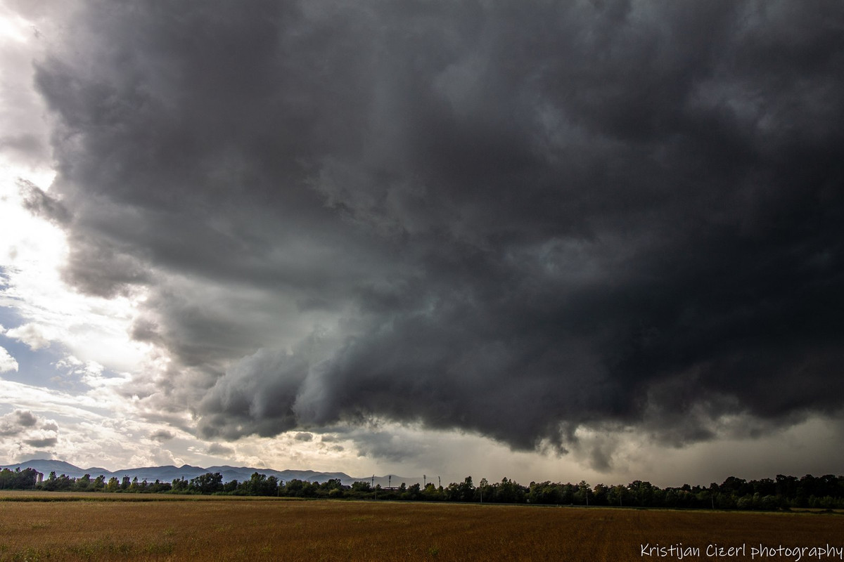 IMG 1610 — Postimages