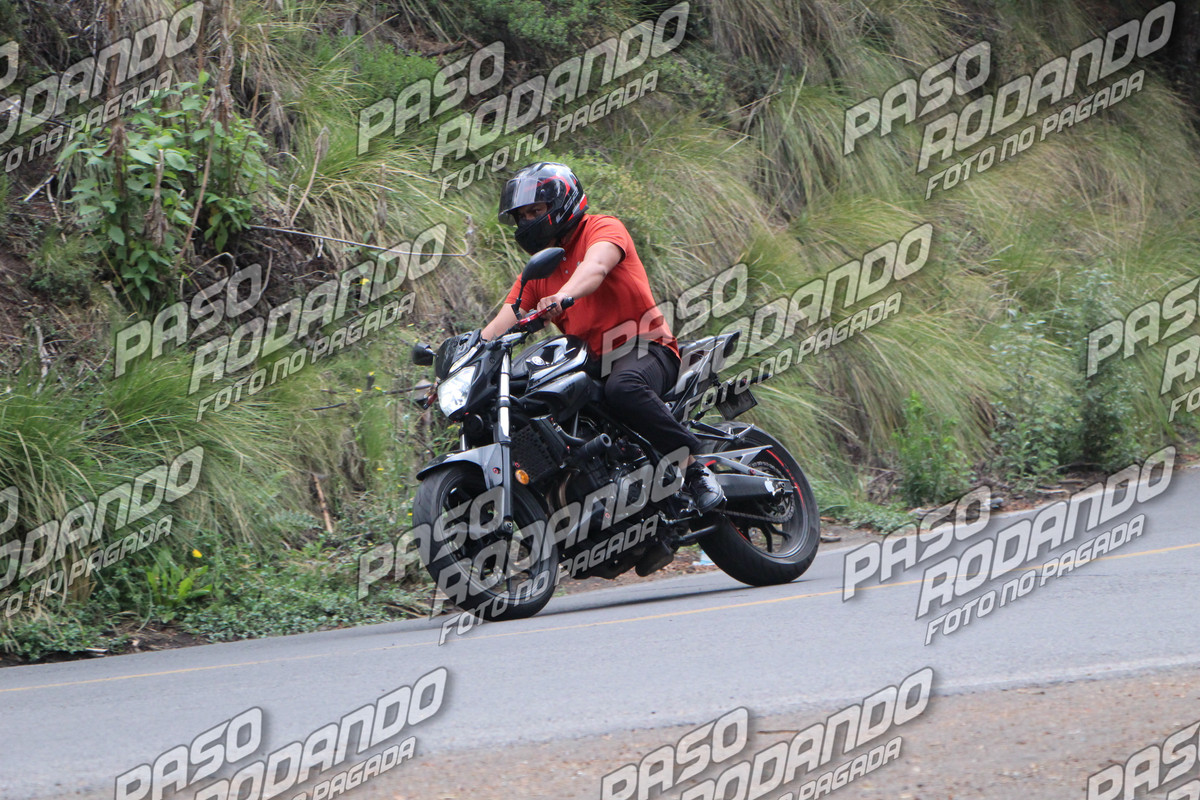 IMG 4202 wm 175433 90000000037 watermarked — Postimages