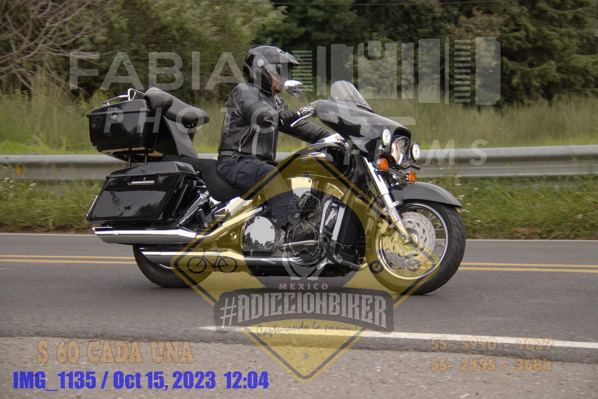 IMG 1135 — Postimages