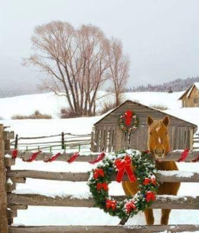 Screenshot 20230131 225211 Chrome — Postimages